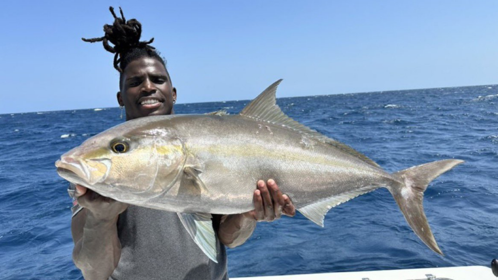 No, Cheetah! Tyreek Hill Under Investigation By Miami Police For An ...